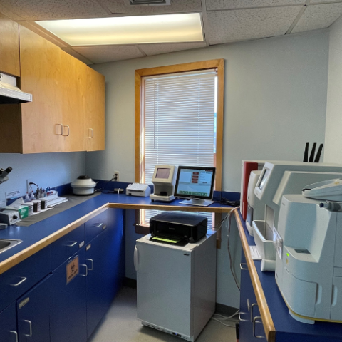 Pet Digital Radioagraphs And In-House Lab In Beverly, MA | Beverly ...